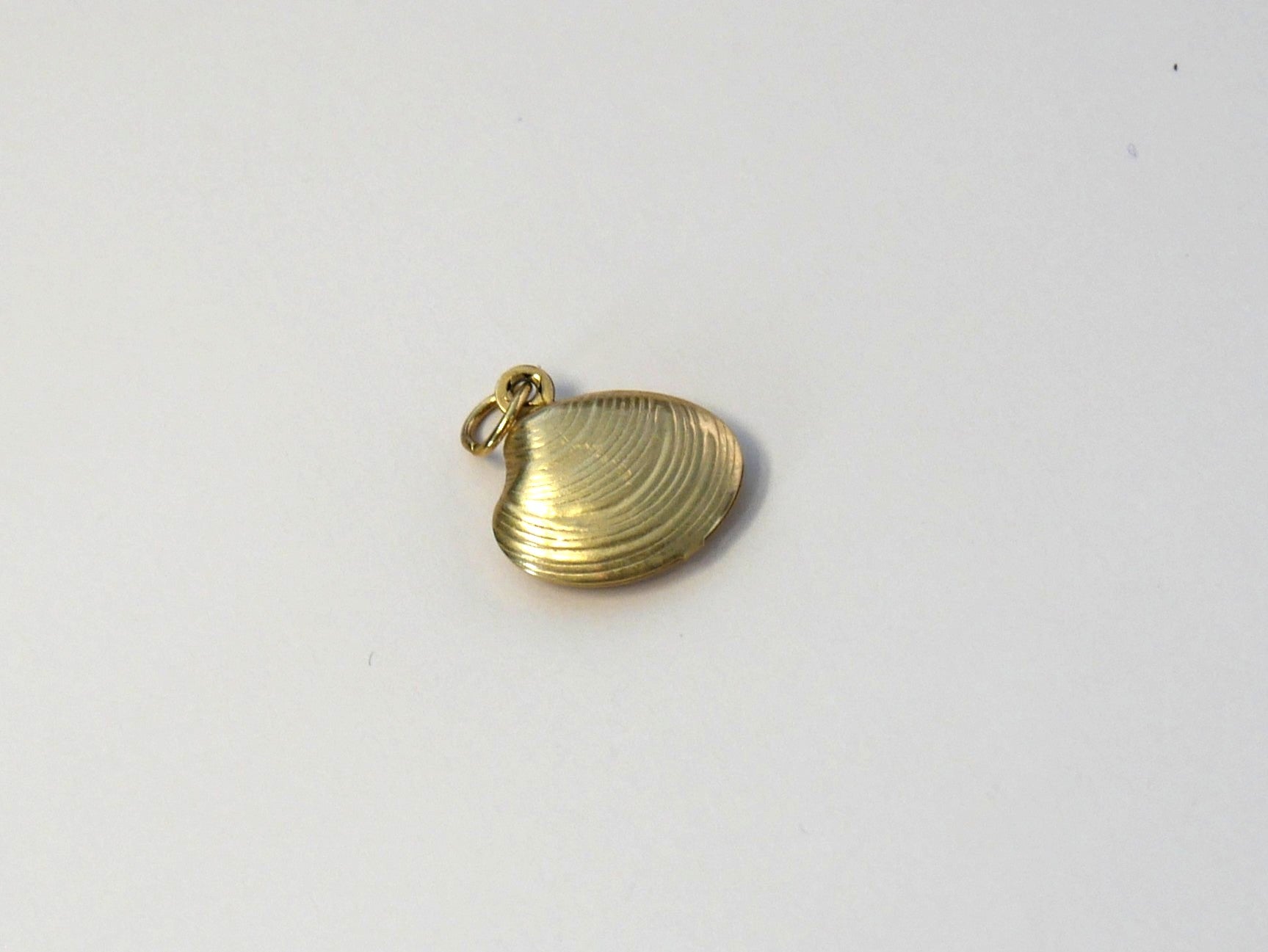 Schelp-goud – LilyRay